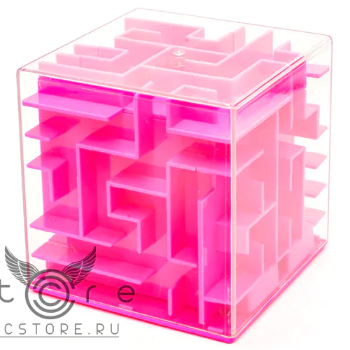 TT Maze Money Box | купить, обзор, цена, отзывы